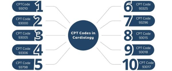 Echo CPT Codes: 6 Best Ways Ensure Accurate Medical Billing